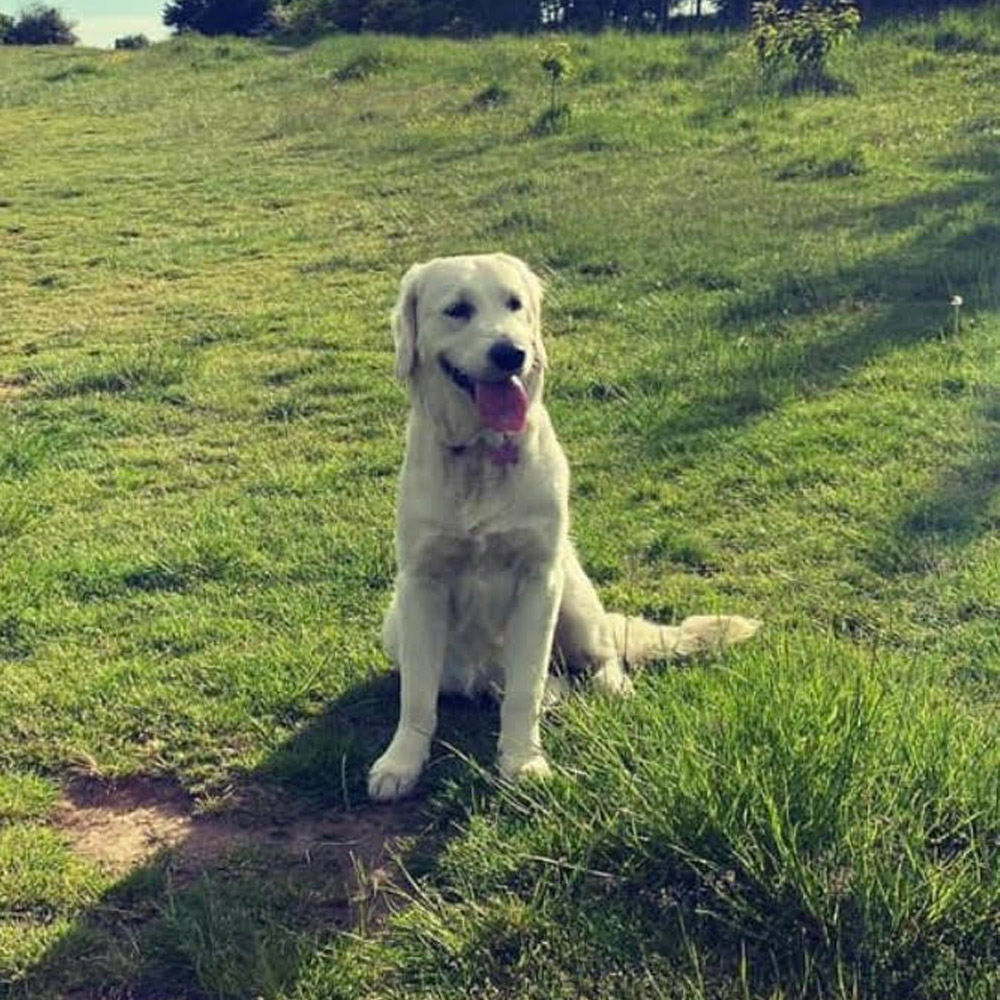Our Mums | Holly Rose Fen